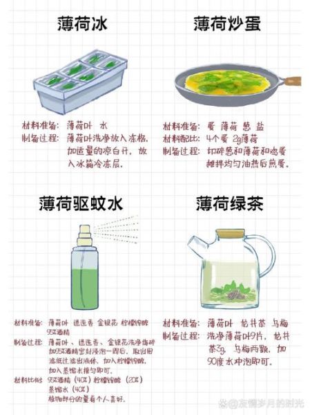 薄荷泡水喝有什么好处_薄荷茶的功效与作用-第3张图片-山城妙识 薄荷泡水喝有什么好处_薄荷茶的功效与作用-第3张图片-山城妙识