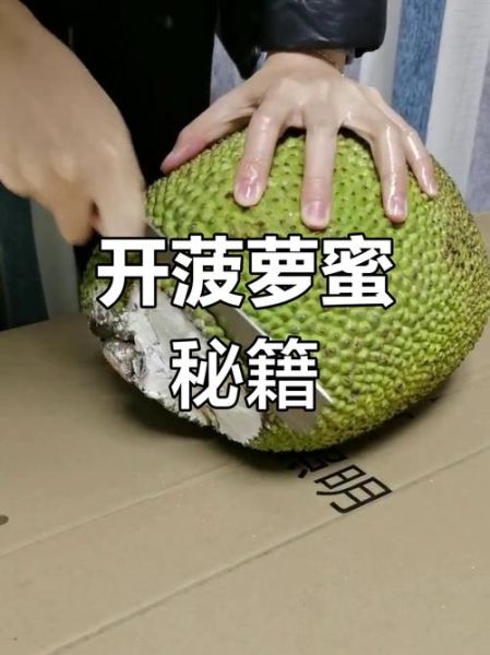 菠萝蜜怎么剥开_菠萝蜜图片实拍细节-第2张图片-山城妙识 菠萝蜜怎么剥开_菠萝蜜图片实拍细节-第2张图片-山城妙识