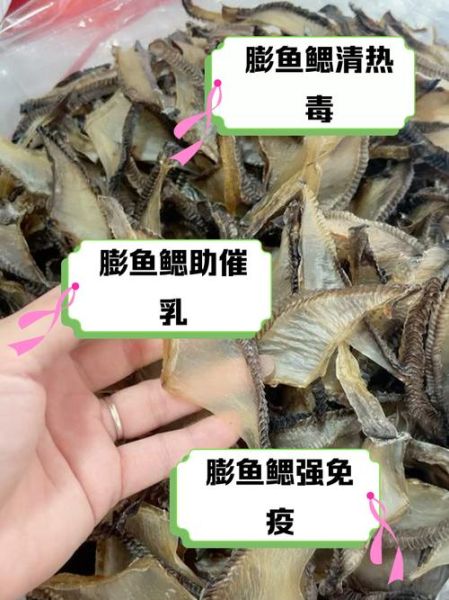 膨鱼鳃适合什么人吃_孕妇能吃膨鱼鳃吗-第1张图片-山城妙识 膨鱼鳃适合什么人吃_孕妇能吃膨鱼鳃吗-第1张图片-山城妙识