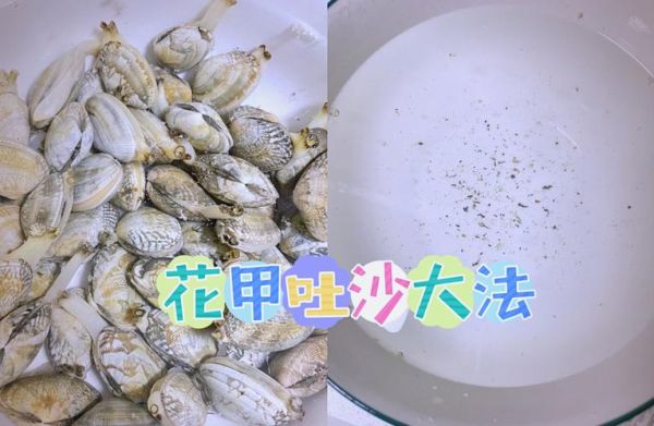 花甲怎么快速吐沙_花甲清洗最快的方法-第2张图片-山城妙识 花甲怎么快速吐沙_花甲清洗最快的方法-第2张图片-山城妙识