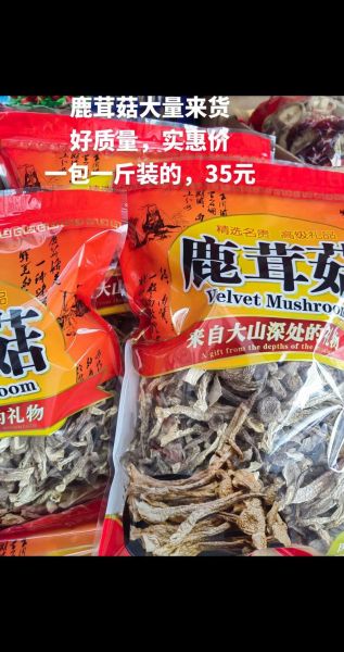 鹿茸菇多少钱一斤_鹿茸菇价格行情-第1张图片-山城妙识 鹿茸菇多少钱一斤_鹿茸菇价格行情-第1张图片-山城妙识