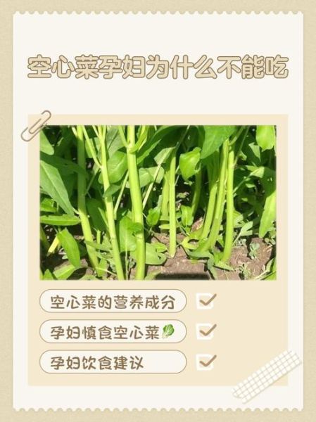 空心菜不能和什么一起吃_吃空心菜的禁忌有哪些-第3张图片-山城妙识 空心菜不能和什么一起吃_吃空心菜的禁忌有哪些-第3张图片-山城妙识