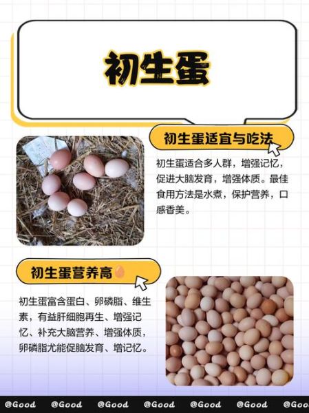 鸡蛋的营养价值有哪些_鸡蛋的功效与作用是什么-第3张图片-山城妙识