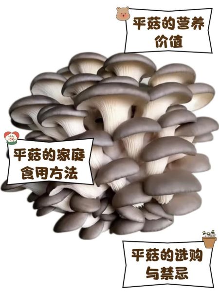 平菇需要焯水吗_焯水时间多久-第1张图片-山城妙识 平菇需要焯水吗_焯水时间多久-第1张图片-山城妙识