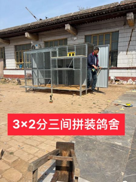 鸽子笼图片_如何挑选合适的鸽舍-第2张图片-山城妙识 鸽子笼图片_如何挑选合适的鸽舍-第2张图片-山城妙识