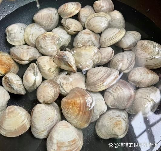 花甲补肾吗_花甲对肾虚有帮助吗-第3张图片-山城妙识 花甲补肾吗_花甲对肾虚有帮助吗-第3张图片-山城妙识