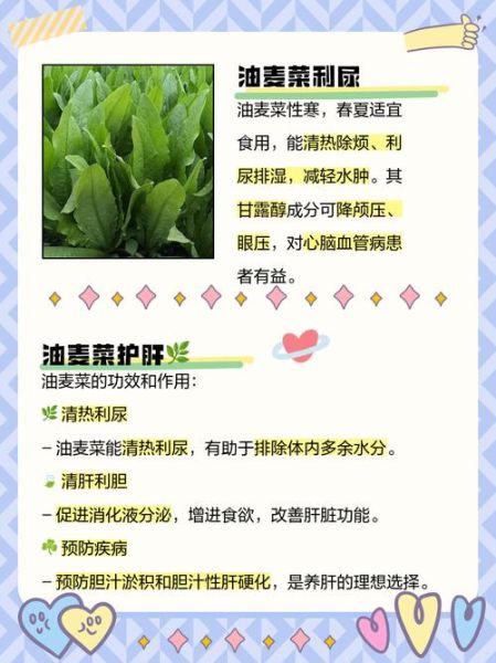油麦什么意思_网络用语油麦的出处-第2张图片-山城妙识 油麦什么意思_网络用语油麦的出处-第2张图片-山城妙识