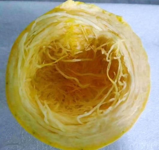 金丝瓜怎么取丝_金丝瓜取丝最简单的方法-第2张图片-山城妙识 金丝瓜怎么取丝_金丝瓜取丝最简单的方法-第2张图片-山城妙识