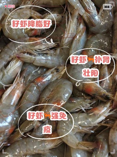 籽虾怎么做好吃_籽虾的家常做法-第1张图片-山城妙识 籽虾怎么做好吃_籽虾的家常做法-第1张图片-山城妙识