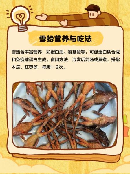 雪蛤多久吃一次为宜_雪蛤食用频率指南-第3张图片-山城妙识