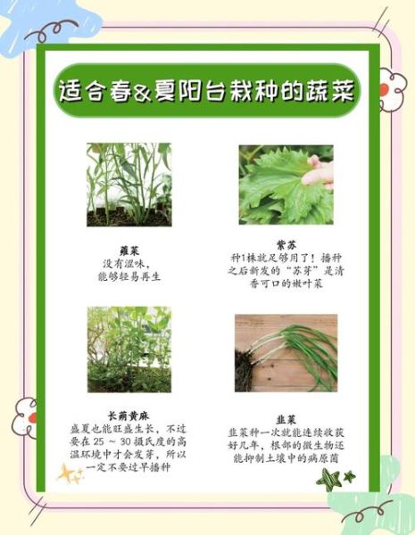 蔬菜的种类名称大全_哪些蔬菜适合阳台种植-第1张图片-山城妙识 蔬菜的种类名称大全_哪些蔬菜适合阳台种植-第1张图片-山城妙识