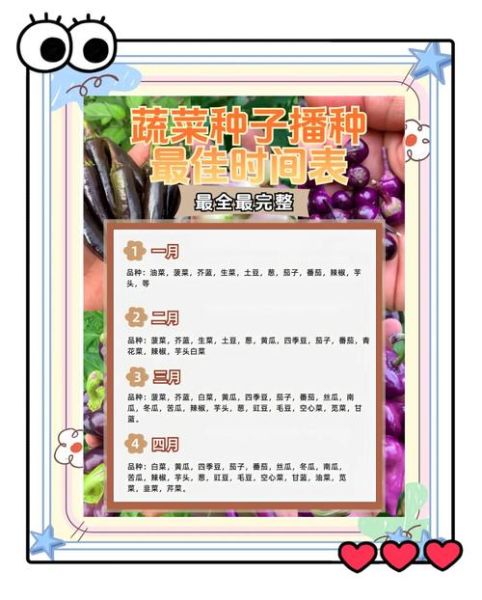 蔬菜的种类名称大全_哪些蔬菜适合阳台种植-第3张图片-山城妙识 蔬菜的种类名称大全_哪些蔬菜适合阳台种植-第3张图片-山城妙识