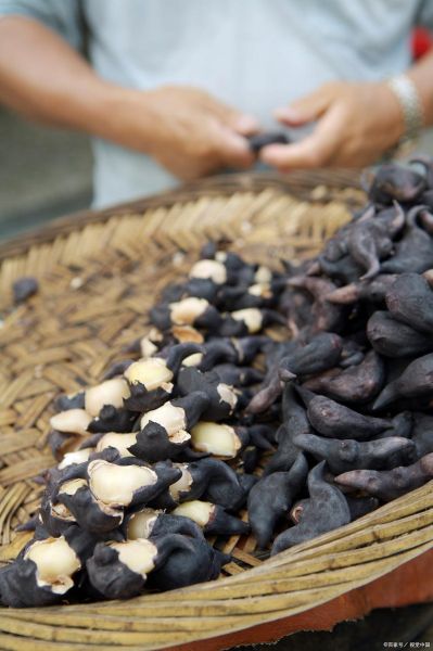 菱角的热量是多少_减肥能吃菱角吗-第1张图片-山城妙识 菱角的热量是多少_减肥能吃菱角吗-第1张图片-山城妙识