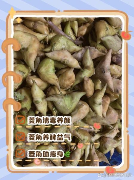 菱角的热量是多少_减肥能吃菱角吗-第2张图片-山城妙识 菱角的热量是多少_减肥能吃菱角吗-第2张图片-山城妙识