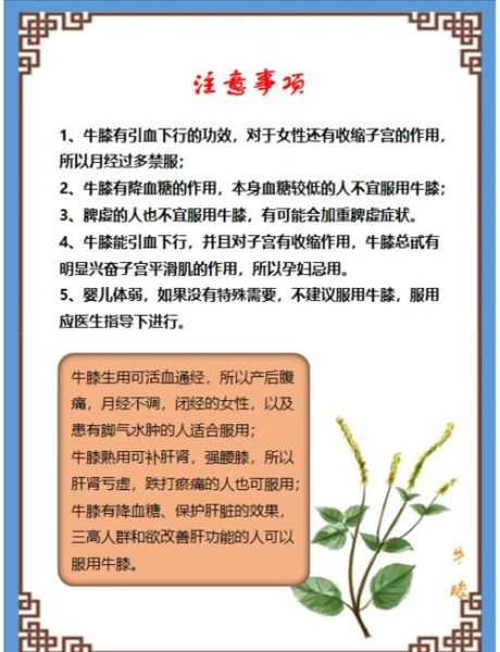 怀牛膝泡水喝的功效_怀牛膝泡水喝的禁忌-第3张图片-山城妙识 怀牛膝泡水喝的功效_怀牛膝泡水喝的禁忌-第3张图片-山城妙识
