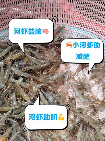 小河虾的营养价值_小河虾怎么吃最补钙-第1张图片-山城妙识 小河虾的营养价值_小河虾怎么吃最补钙-第1张图片-山城妙识