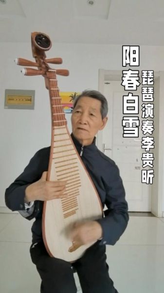 阳春白雪琵琶独奏_如何欣赏古典韵味-第3张图片-山城妙识 阳春白雪琵琶独奏_如何欣赏古典韵味-第3张图片-山城妙识