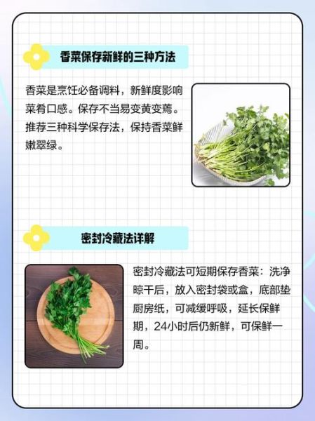 香菜怎么保存新鲜_香菜做法大全-第1张图片-山城妙识 香菜怎么保存新鲜_香菜做法大全-第1张图片-山城妙识