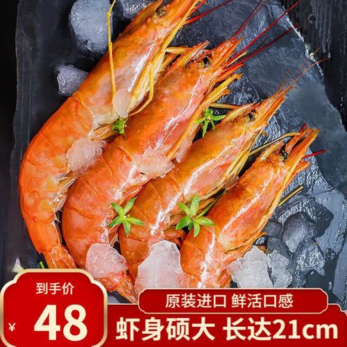 阿根廷红虾多少钱一斤_阿根廷红虾价格走势-第3张图片-山城妙识 阿根廷红虾多少钱一斤_阿根廷红虾价格走势-第3张图片-山城妙识