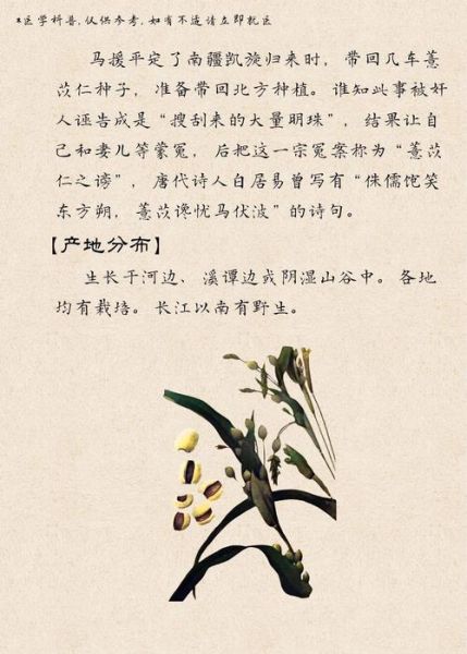 薏米祛湿多久见效_薏米怎么吃最祛湿-第2张图片-山城妙识 薏米祛湿多久见效_薏米怎么吃最祛湿-第2张图片-山城妙识