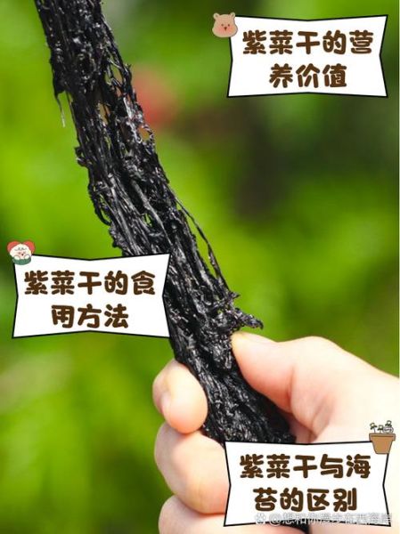 紫菜吃多了有什么副作用_紫菜过敏症状有哪些-第1张图片-山城妙识 紫菜吃多了有什么副作用_紫菜过敏症状有哪些-第1张图片-山城妙识