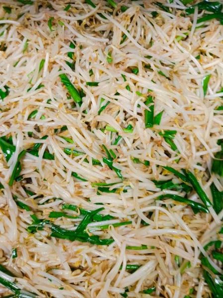 清炒黄豆芽怎么炒才好吃_黄豆芽脆嫩不腥的秘诀-第3张图片-山城妙识 清炒黄豆芽怎么炒才好吃_黄豆芽脆嫩不腥的秘诀-第3张图片-山城妙识