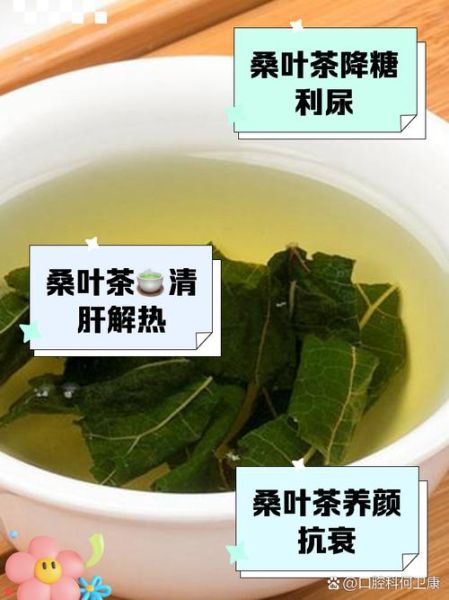 桑树叶泡水喝的功效与禁忌_桑树叶泡水喝的正确方法-第3张图片-山城妙识 桑树叶泡水喝的功效与禁忌_桑树叶泡水喝的正确方法-第3张图片-山城妙识