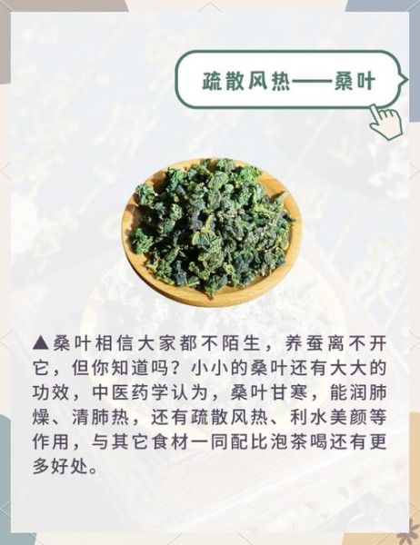 桑树叶泡水喝的功效与禁忌_桑树叶泡水喝的正确方法-第2张图片-山城妙识 桑树叶泡水喝的功效与禁忌_桑树叶泡水喝的正确方法-第2张图片-山城妙识