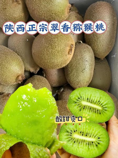 陕西特产水果有哪些_陕西水果哪里最正宗-第1张图片-山城妙识 陕西特产水果有哪些_陕西水果哪里最正宗-第1张图片-山城妙识