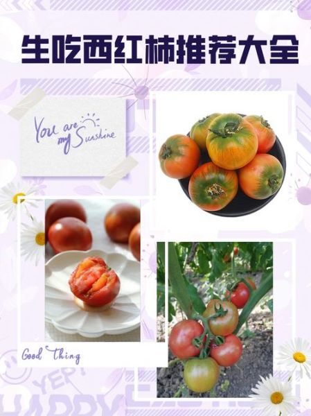 西红柿生吃还是熟吃_哪种吃法营养最高-第2张图片-山城妙识 西红柿生吃还是熟吃_哪种吃法营养最高-第2张图片-山城妙识