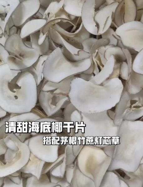 海底椰片的功效与作用_海底椰片怎么煲汤-第3张图片-山城妙识 海底椰片的功效与作用_海底椰片怎么煲汤-第3张图片-山城妙识
