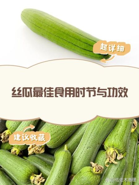 丝瓜能缓解风湿疼痛吗_丝瓜对风湿关节炎有用吗-第1张图片-山城妙识 丝瓜能缓解风湿疼痛吗_丝瓜对风湿关节炎有用吗-第1张图片-山城妙识