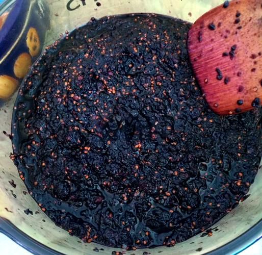 蜂蜜桑椹膏怎么做_蜂蜜桑椹膏的功效与禁忌-第1张图片-山城妙识 蜂蜜桑椹膏怎么做_蜂蜜桑椹膏的功效与禁忌-第1张图片-山城妙识