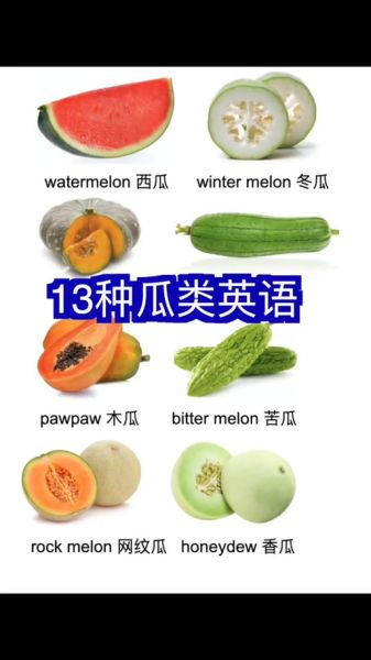哈密瓜英文怎么说_cantaloupe还是muskmelon-第1张图片-山城妙识 哈密瓜英文怎么说_cantaloupe还是muskmelon-第1张图片-山城妙识