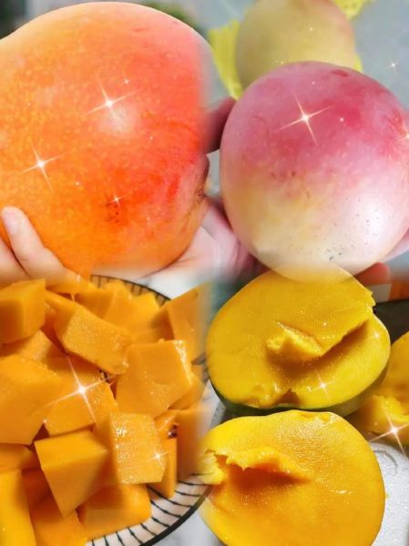 苹果芒怎么挑_苹果芒怎么吃才甜-第3张图片-山城妙识