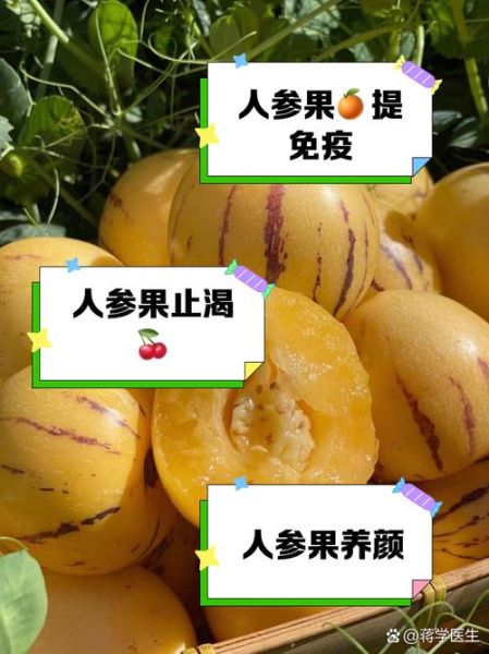 人参果什么人不能吃_八种人不适合吃人参果-第3张图片-山城妙识 人参果什么人不能吃_八种人不适合吃人参果-第3张图片-山城妙识