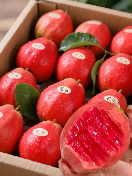 红心番石榴怎么吃_红心番石榴的吃法大全-第3张图片-山城妙识 红心番石榴怎么吃_红心番石榴的吃法大全-第3张图片-山城妙识