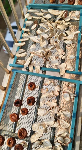 柿饼怎么做_柿饼怎么晒不涩-第3张图片-山城妙识 柿饼怎么做_柿饼怎么晒不涩-第3张图片-山城妙识