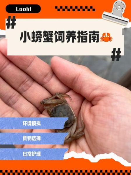 河蟹养殖条件_水质管理要点-第2张图片-山城妙识 河蟹养殖条件_水质管理要点-第2张图片-山城妙识