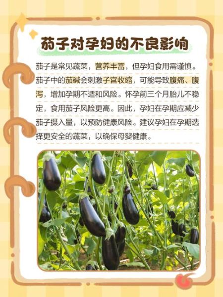 孕妇晚期可以吃茄子吗_茄子对胎儿有影响吗-第1张图片-山城妙识 孕妇晚期可以吃茄子吗_茄子对胎儿有影响吗-第1张图片-山城妙识