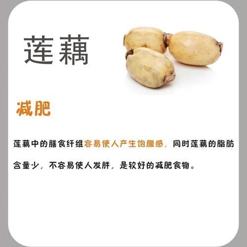 莲藕的功效与作用_莲藕的禁忌人群-第2张图片-山城妙识 莲藕的功效与作用_莲藕的禁忌人群-第2张图片-山城妙识