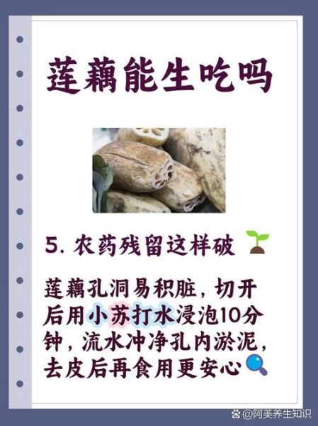 莲藕的功效与作用_莲藕的禁忌人群-第3张图片-山城妙识 莲藕的功效与作用_莲藕的禁忌人群-第3张图片-山城妙识