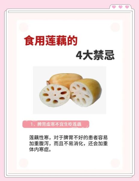 莲藕的功效与作用_莲藕的禁忌人群-第1张图片-山城妙识 莲藕的功效与作用_莲藕的禁忌人群-第1张图片-山城妙识