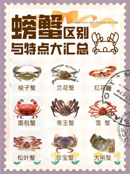 面包蟹和帝王蟹哪个好吃_口感区别与选购技巧-第2张图片-山城妙识 面包蟹和帝王蟹哪个好吃_口感区别与选购技巧-第2张图片-山城妙识