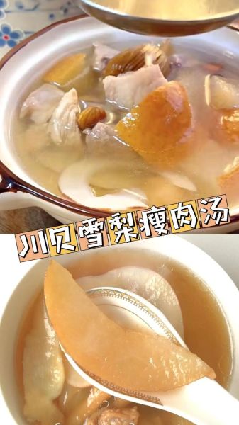雪梨瘦肉汤怎么做润肺_雪梨瘦肉汤润肺做法-第1张图片-山城妙识 雪梨瘦肉汤怎么做润肺_雪梨瘦肉汤润肺做法-第1张图片-山城妙识
