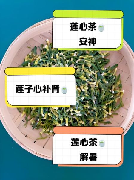 莲子心茶的功效与作用_莲子心茶有副作用吗-第2张图片-山城妙识 莲子心茶的功效与作用_莲子心茶有副作用吗-第2张图片-山城妙识