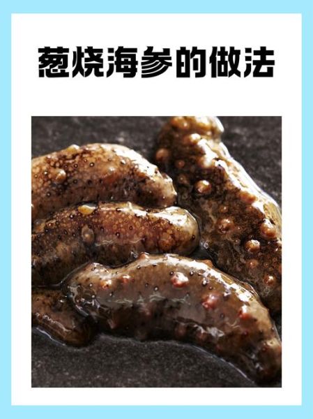 葱烧海参有什么功效_葱烧海参适合什么人吃-第3张图片-山城妙识 葱烧海参有什么功效_葱烧海参适合什么人吃-第3张图片-山城妙识
