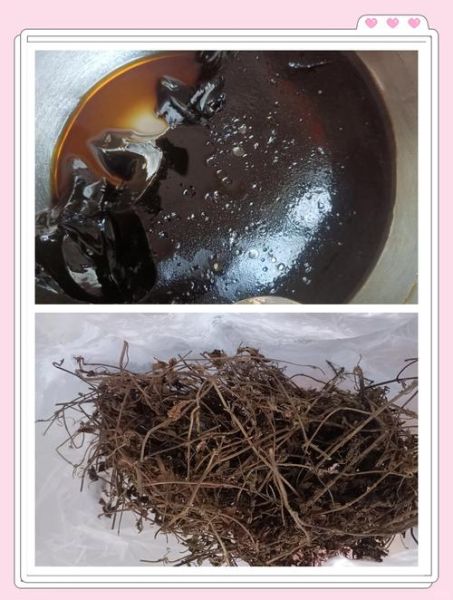 新鲜凉粉草怎么做凉粉_比例与步骤-第1张图片-山城妙识 新鲜凉粉草怎么做凉粉_比例与步骤-第1张图片-山城妙识