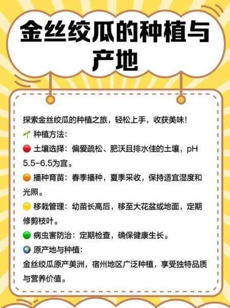 绞瓜是什么瓜_绞瓜图片长什么样-第2张图片-山城妙识 绞瓜是什么瓜_绞瓜图片长什么样-第2张图片-山城妙识