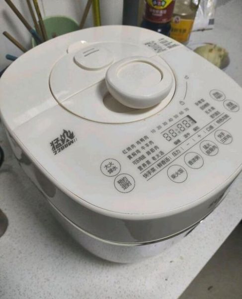 苏泊尔电压力锅怎么使用_苏泊尔电压力锅菜谱大全-第2张图片-山城妙识